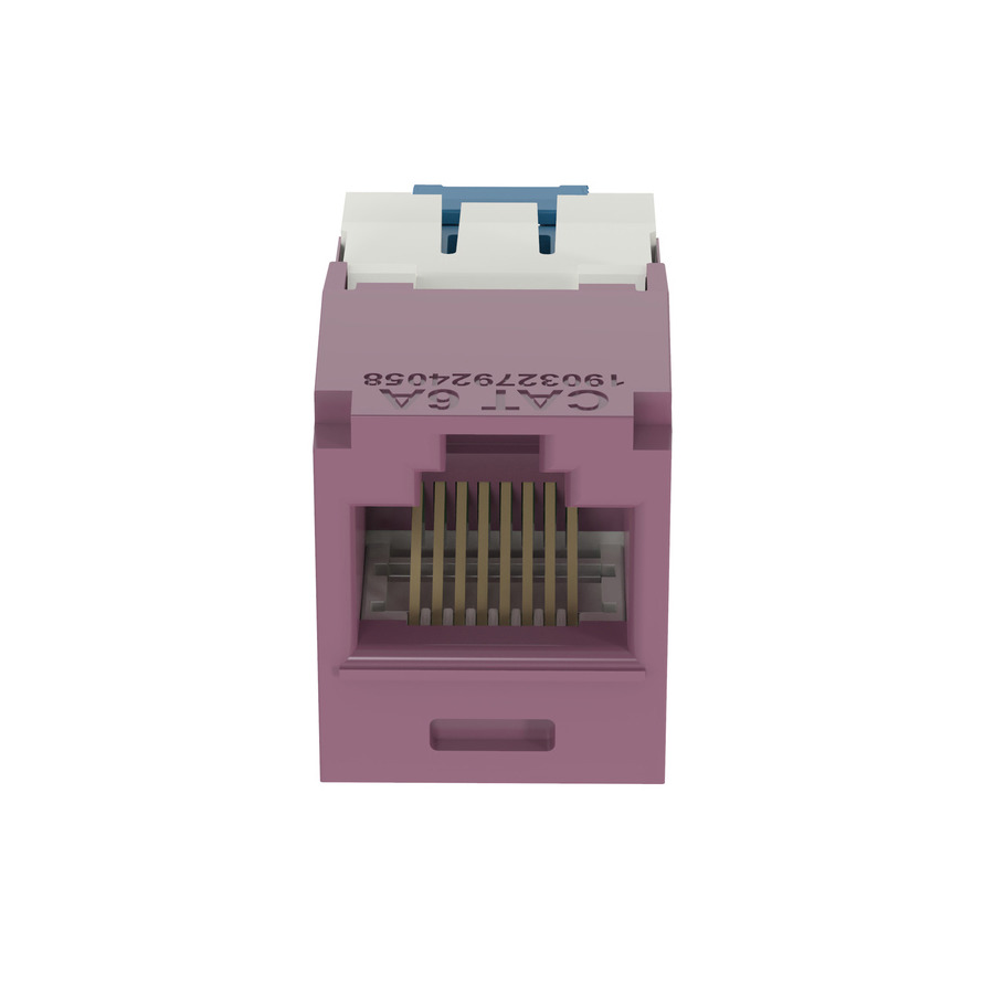 Panduit CJ6X88TGVL-24 Mini-Com TG Jack Module, Cat 6A UTP RJ45, Violet ...
