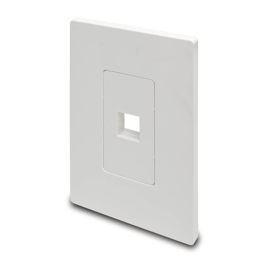 Tripp Lite N080-101 1-Port Keystone Single-Gang Faceplate, White, TAA ...