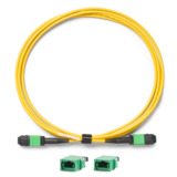 Fluke Networks TRC-SM-VERIFY-MPO24U Verification TRC, Single-mode, 1m ...